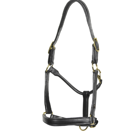 Lederhalfter mit Wunschgravur – Seabis